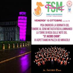 Giornata Nazionale del Tumore al Seno Metastatico | Comune di Pisa - Turismo